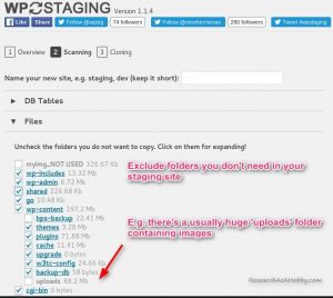 How to Avoid Plugins or WordPress Update Breaking Your Site